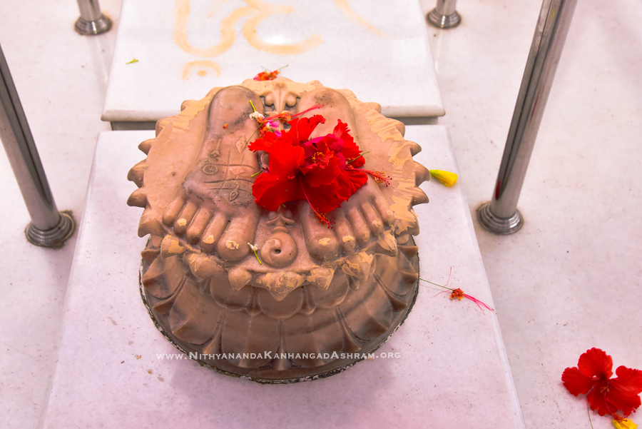 About Nithyananda Ashram – NIthyananda Kanhangad Ashram