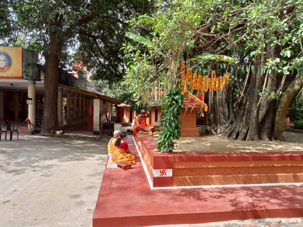 Inauguration of Sacred Ashvatha (Pipal) Tree – NIthyananda Kanhangad Ashram